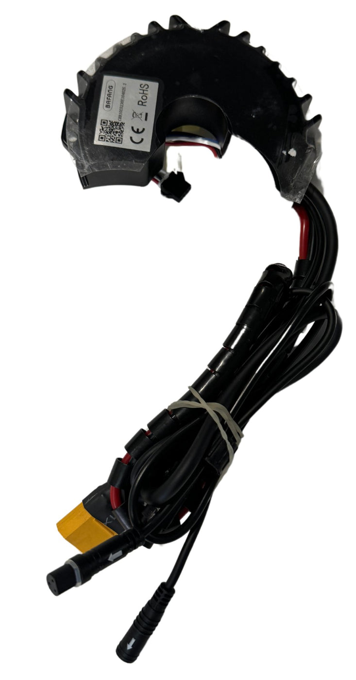 Bafang BBSHD/BBS02B Controller 52V 60A 3000W — Cap Rouge