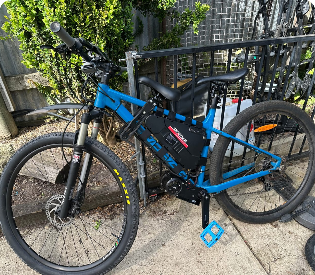 Pedal Coyote — Cap Rouge